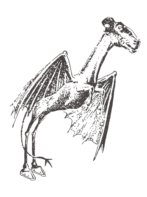 NJ Council for the Humanities